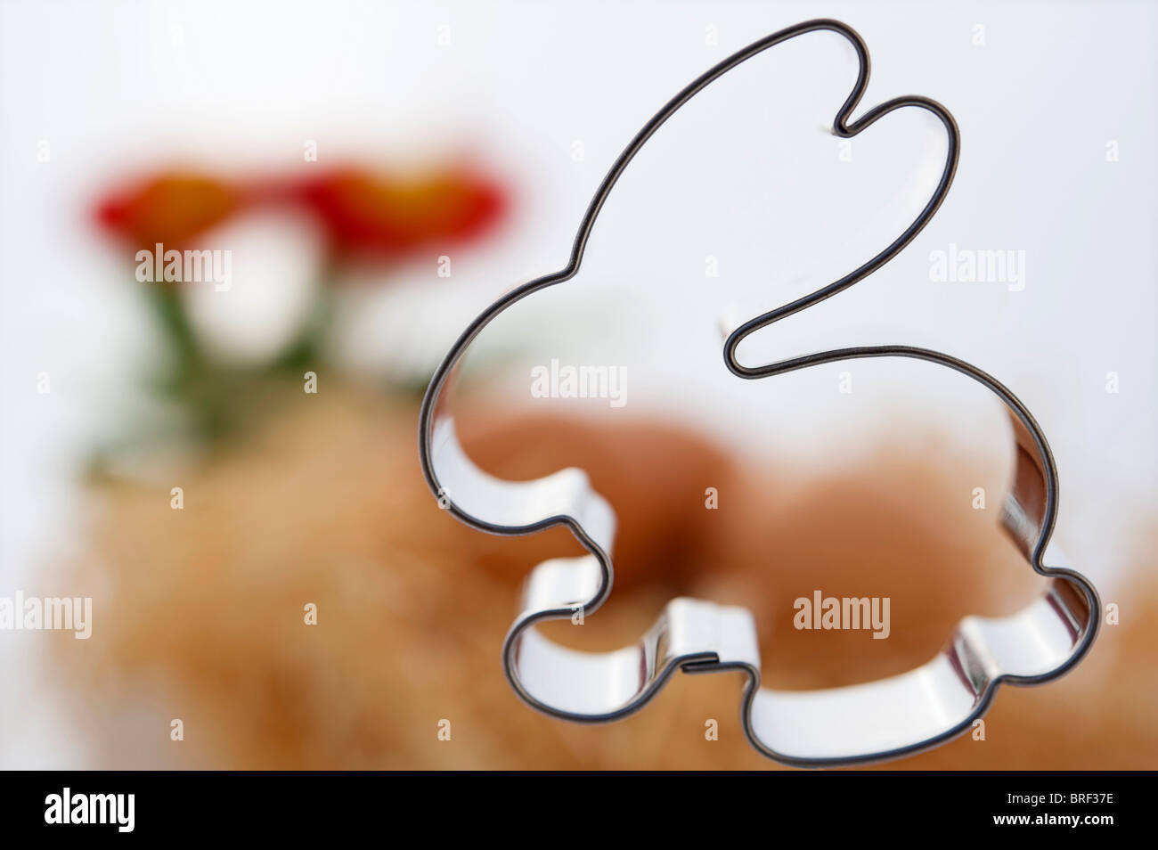 Bunny cookie cutter Stock Photo - Alamy