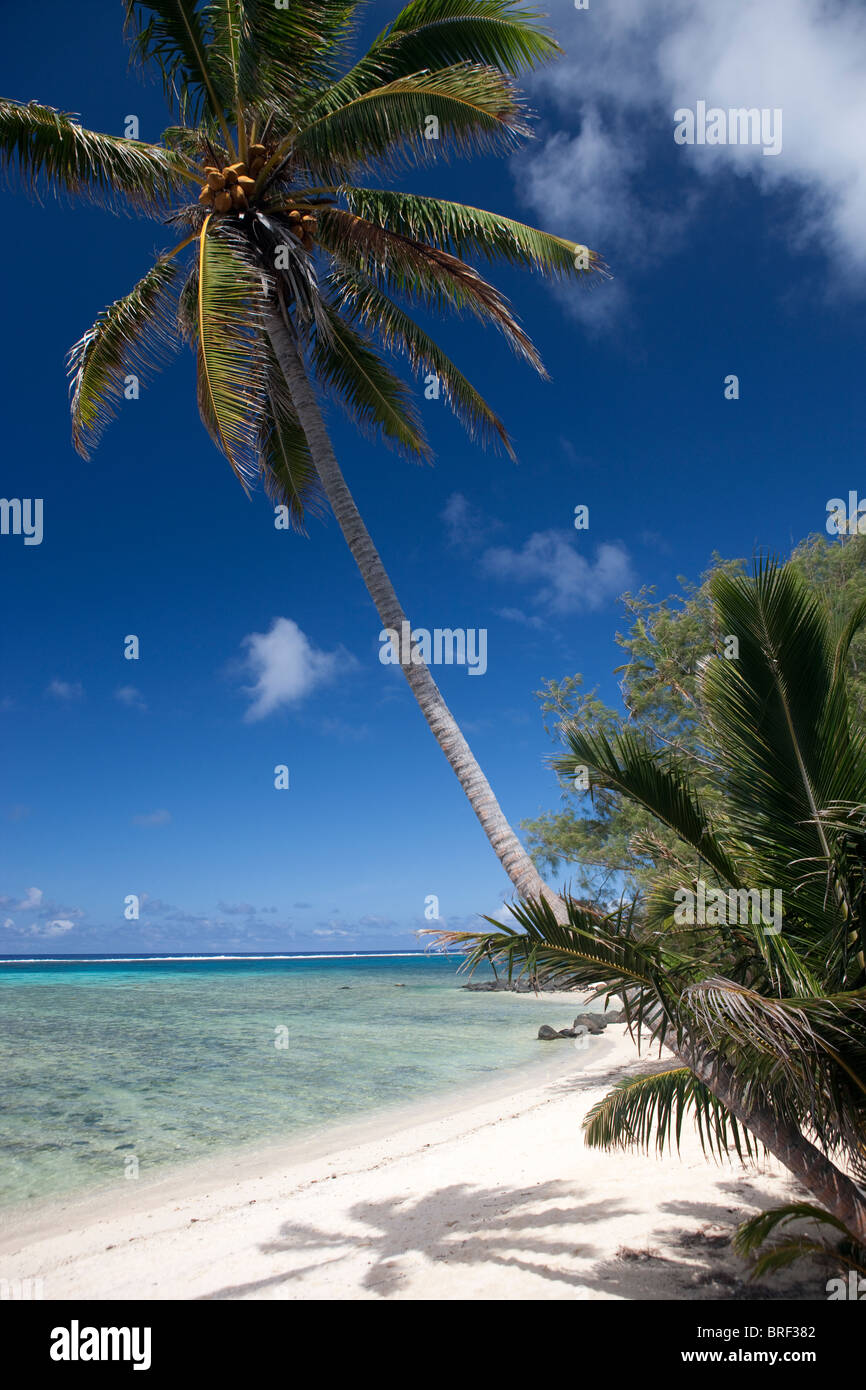 Tropical Beach on Rarotonga in the Cook Islands Stock Photo - Alamy