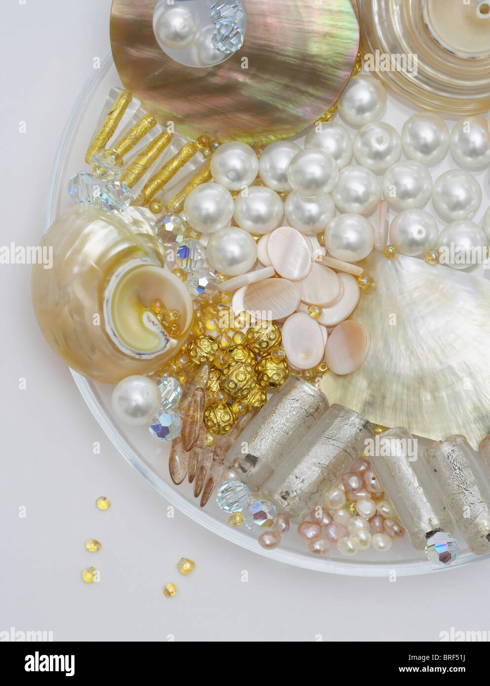 Silver shells hi-res stock photography and images - Alamy