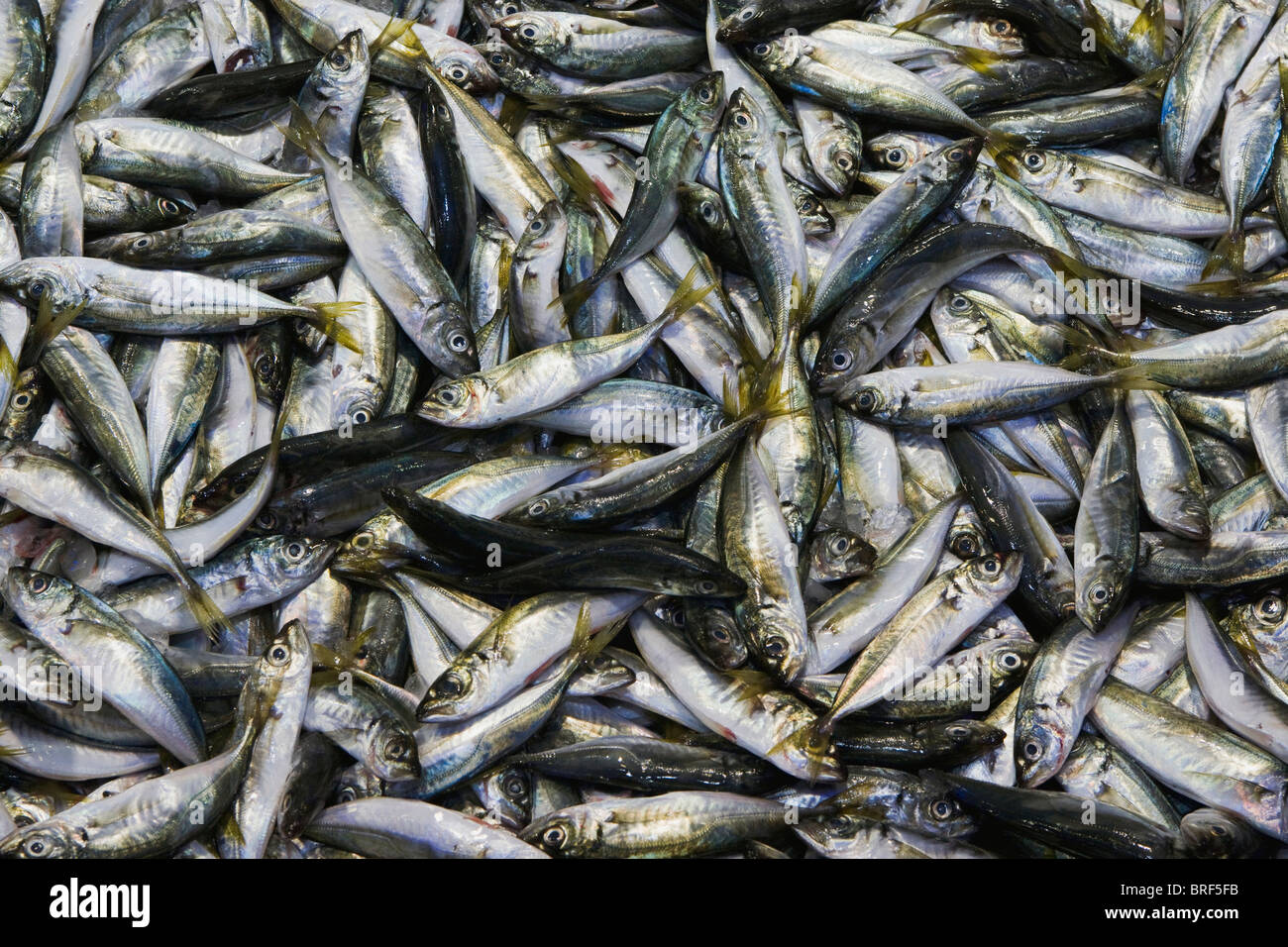 Ojects hi-res stock photography and images - Alamy