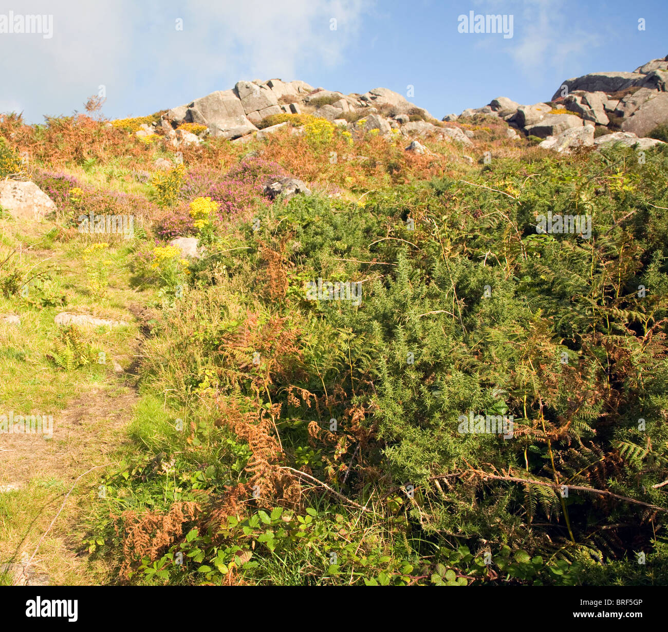 St davids head hi-res stock photography and images - Alamy