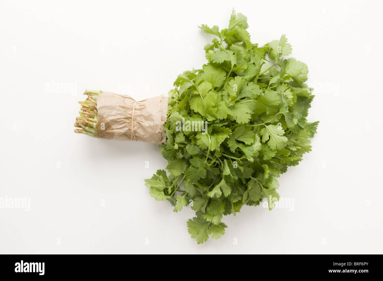 Bunch of coriander on white background, close-up Stock Photo - Alamy
