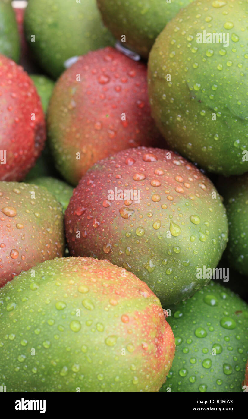 5 mangoes hi-res stock photography and images - Alamy