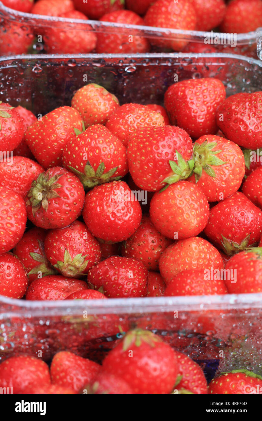 English strawberries hi-res stock photography and images - Alamy