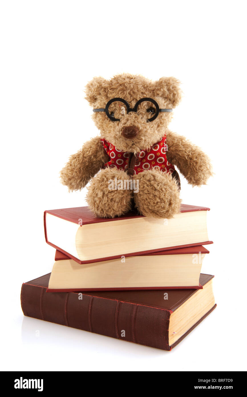 Bear study hi-res stock photography and images - Alamy