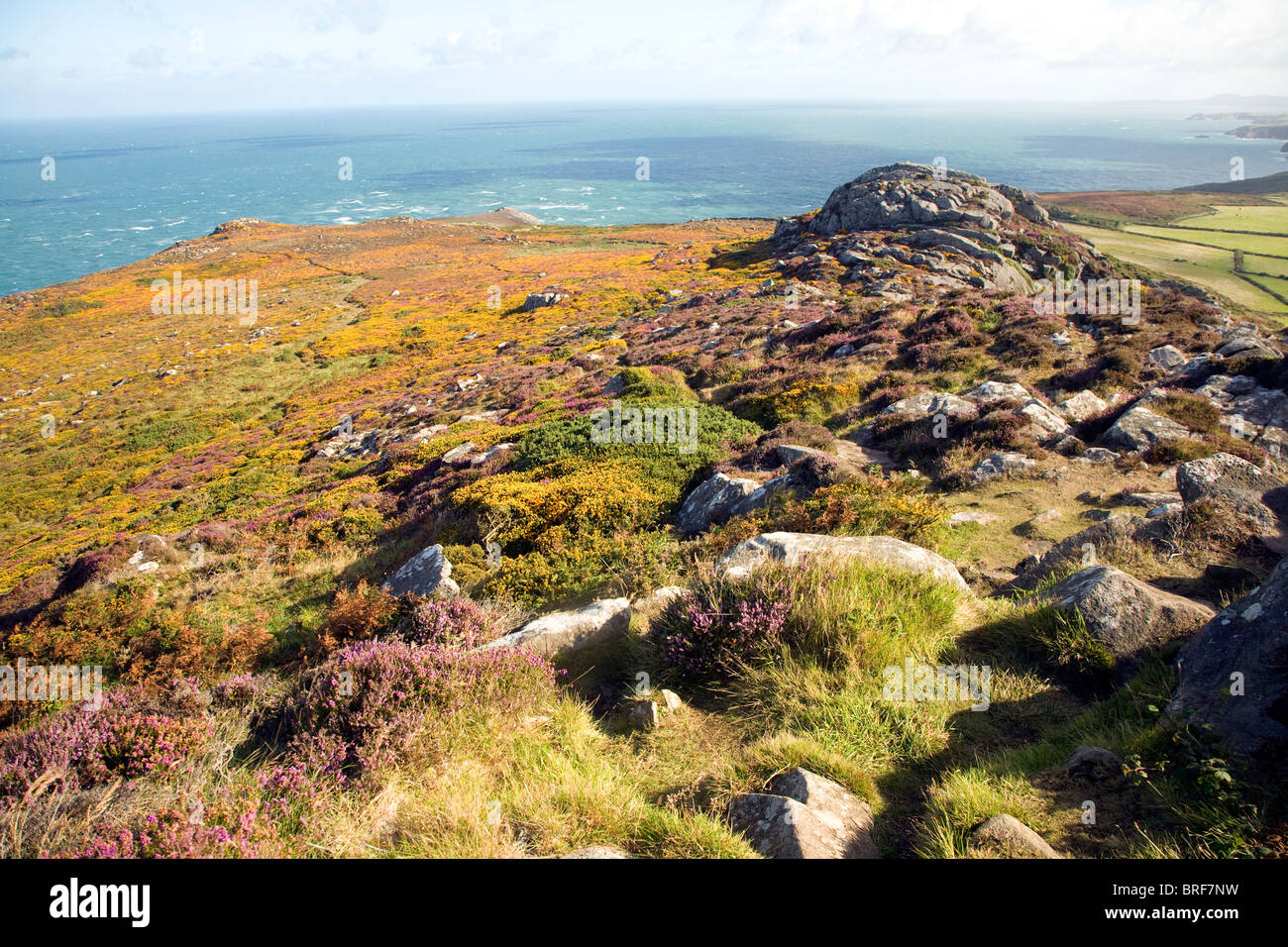 Carn Llidi tor looking north west, St David's Head, Pembrokeshire ...
