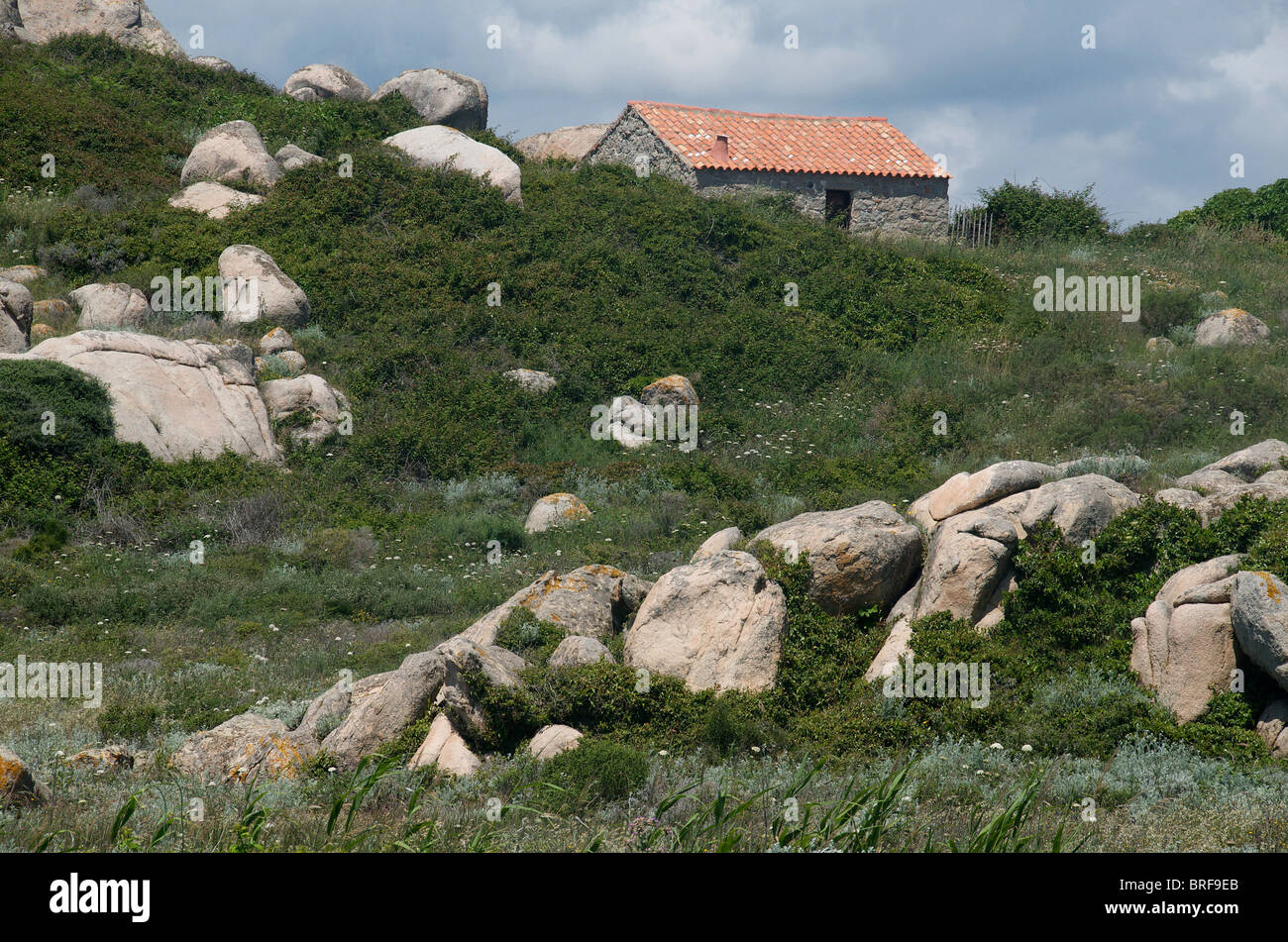 Lavezzi islands, Corsica, France Stock Photo - Alamy