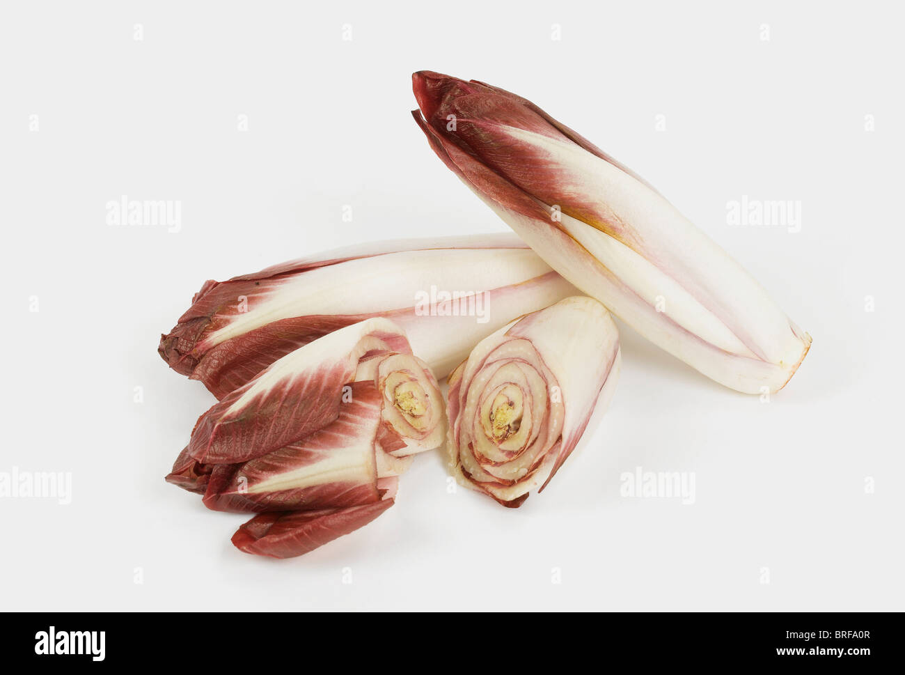 Belgian endive on white background Stock Photo - Alamy