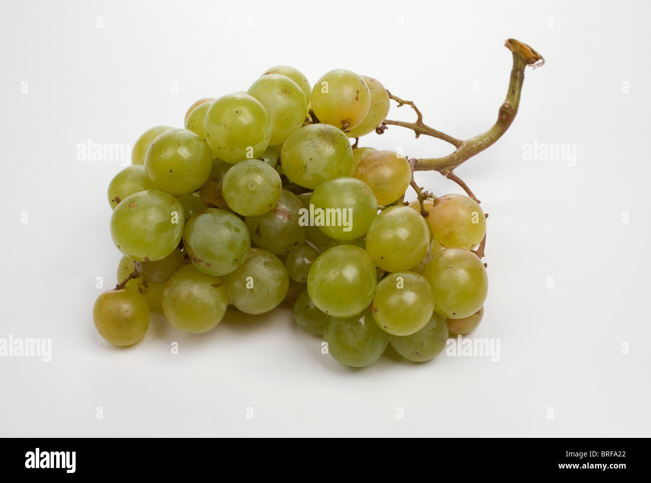 Moscatel hi-res stock photography and images - Alamy