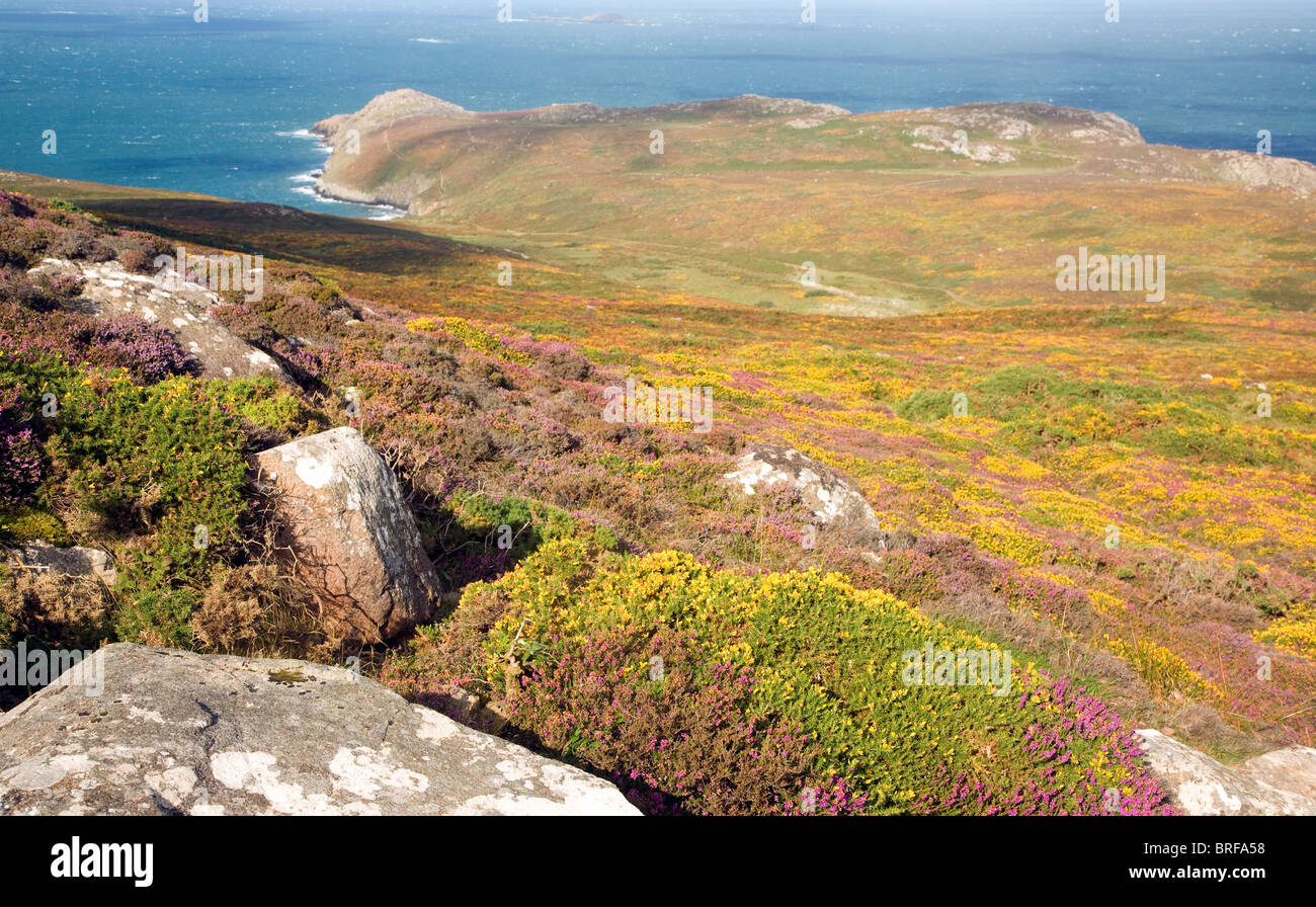 Carn llidi view hi-res stock photography and images - Alamy