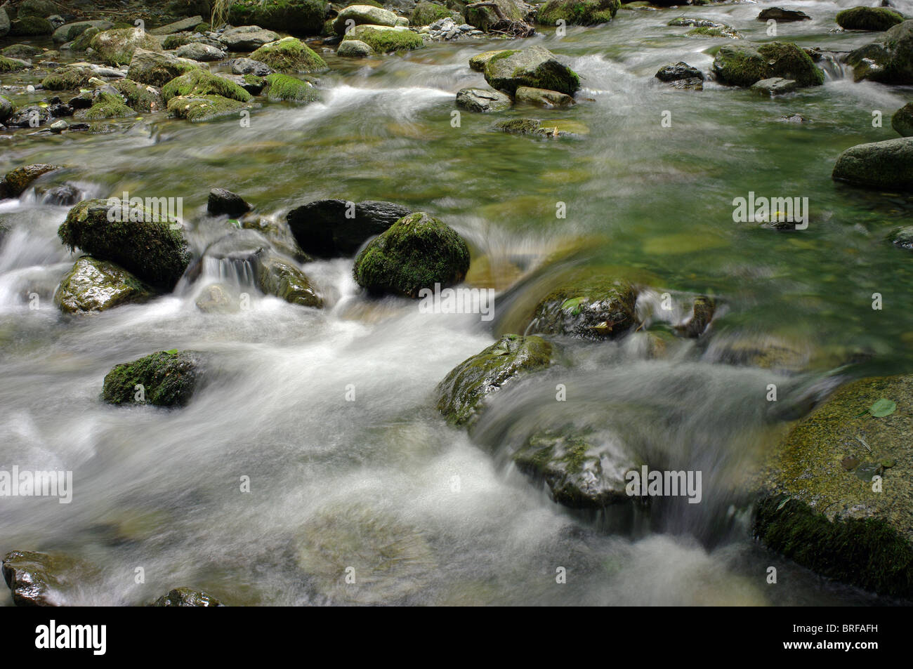 Clear riverbed hi-res stock photography and images - Alamy