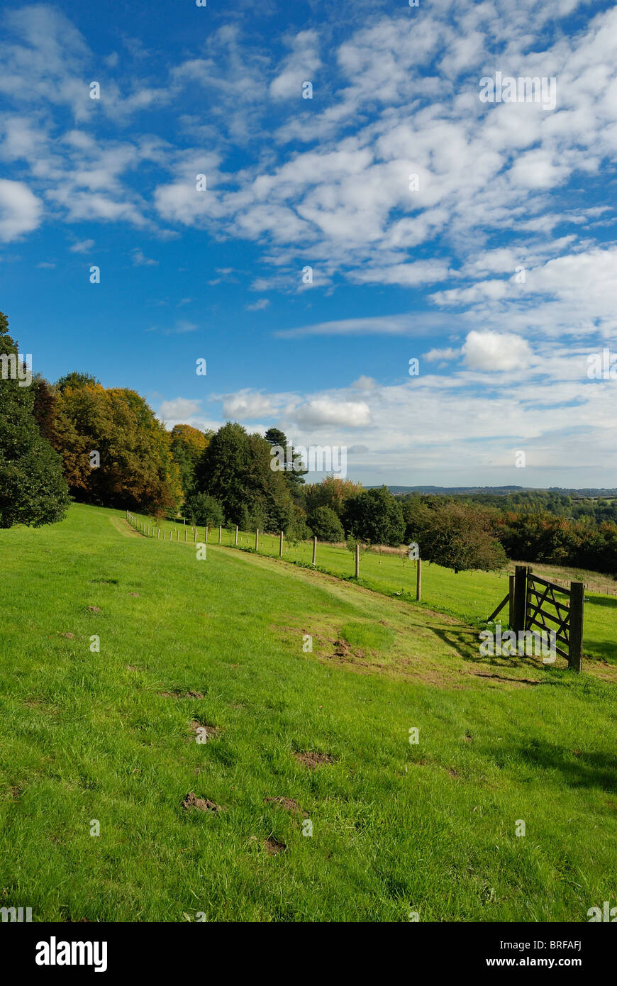 shipley country park Derbyshire england uk Stock Photo - Alamy