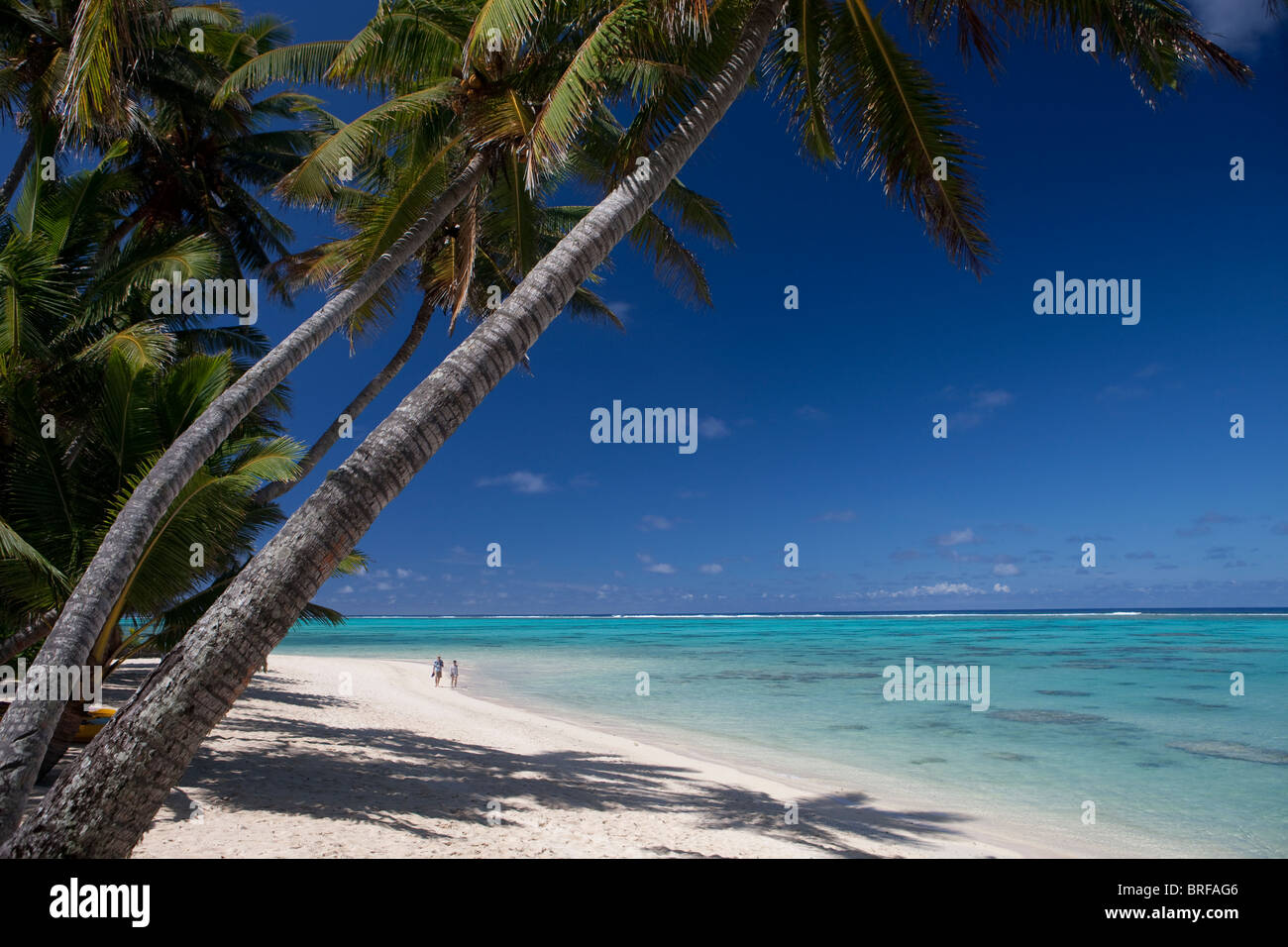Tropical Beach on Rarotonga in the Cook Islands Stock Photo - Alamy