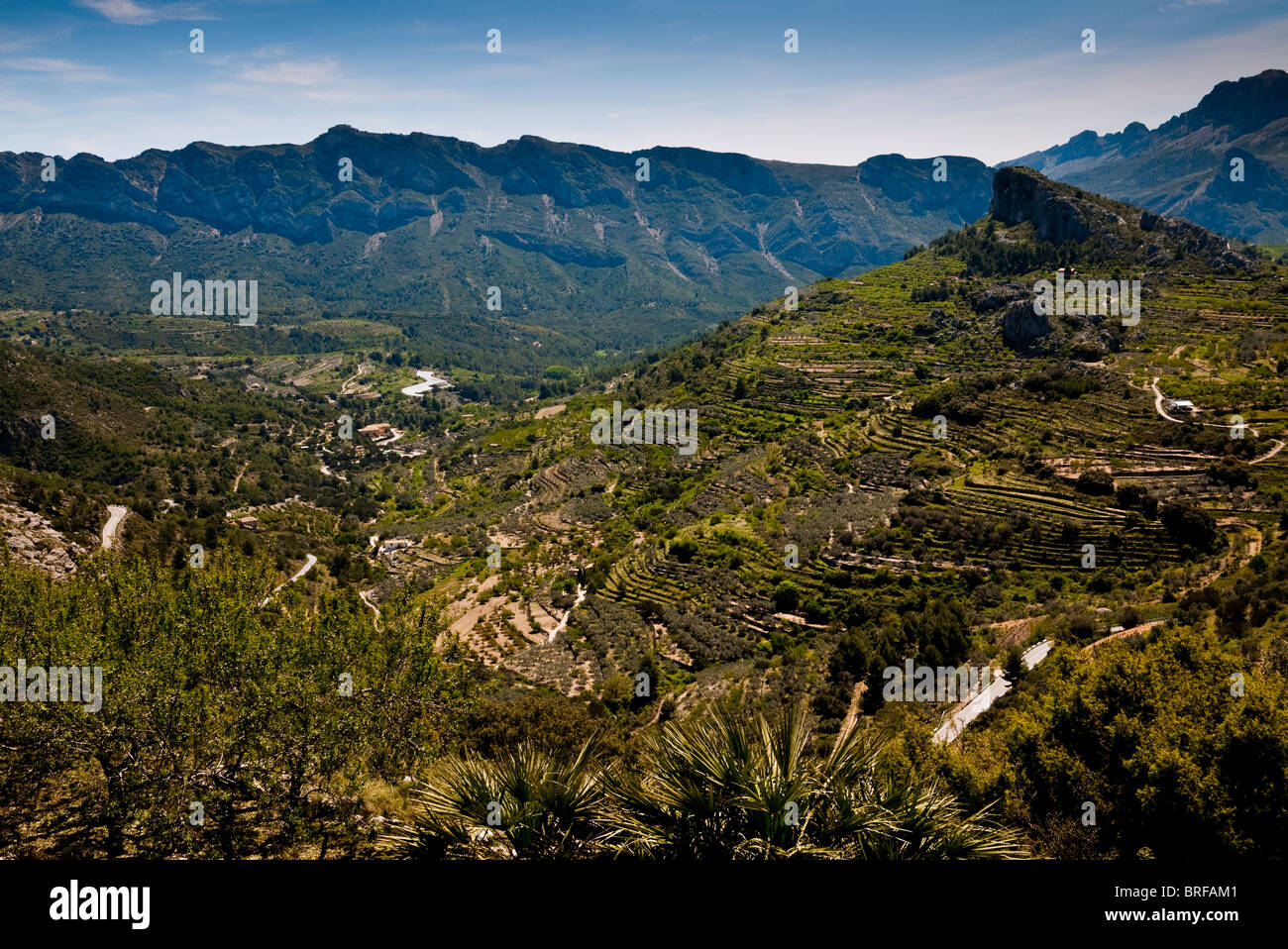 Generic view of the terraced slopes in the Spanish countryside near ...