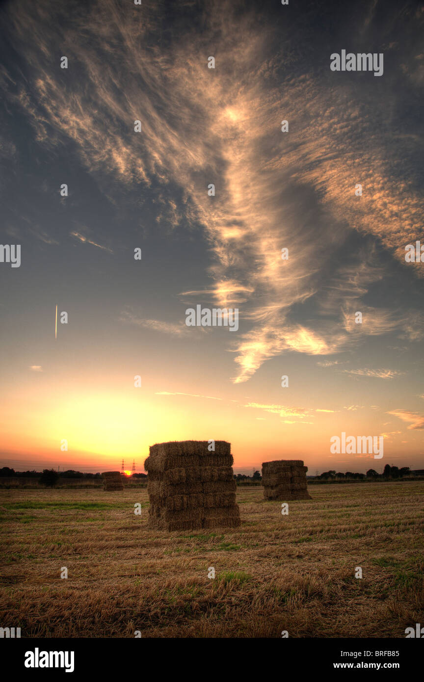 A field at sunset hi-res stock photography and images - Alamy