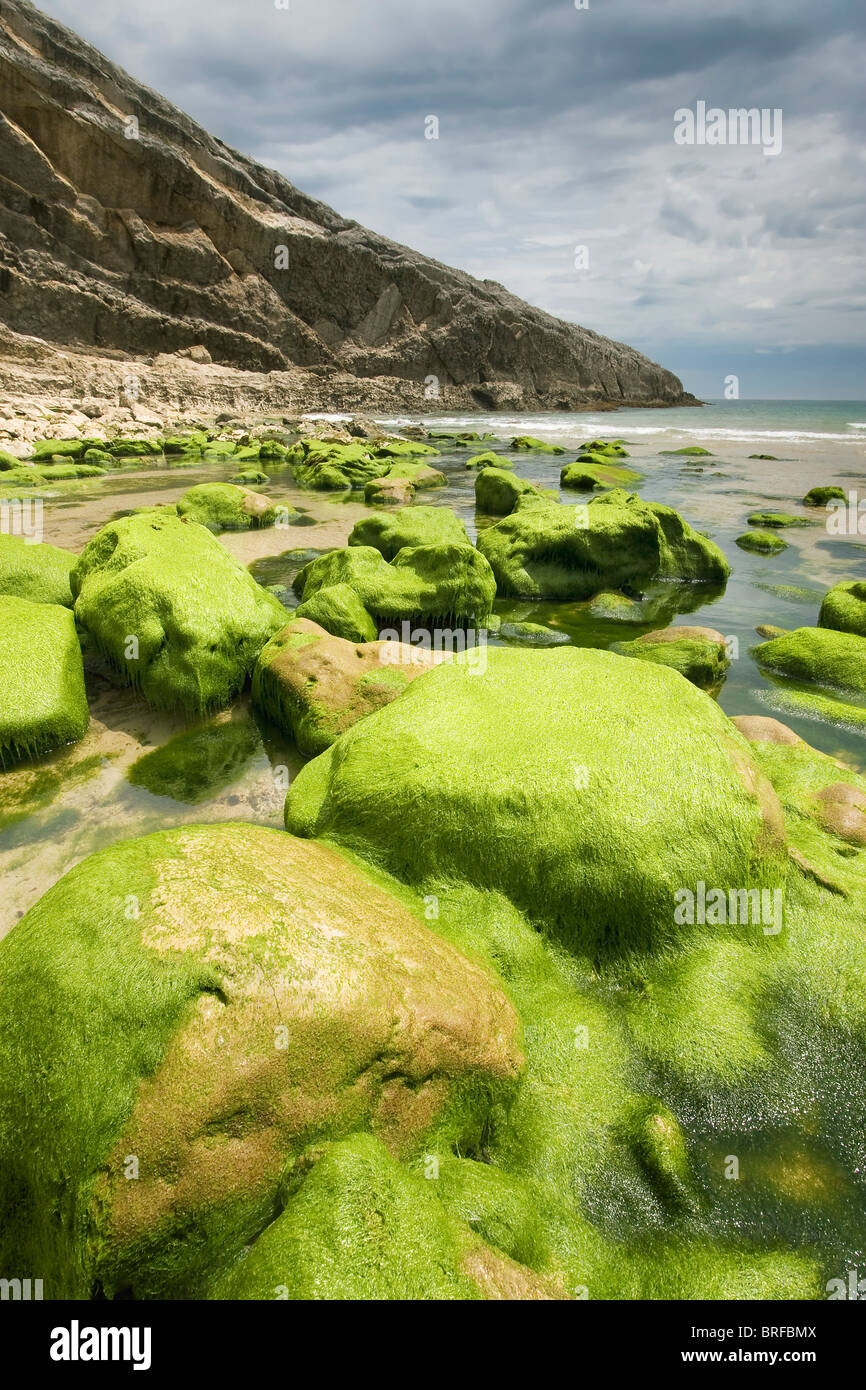 Llanes spain coast hi-res stock photography and images - Alamy