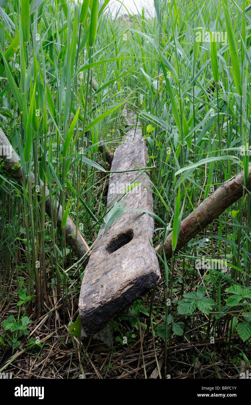 Neolithic track hi-res stock photography and images - Alamy