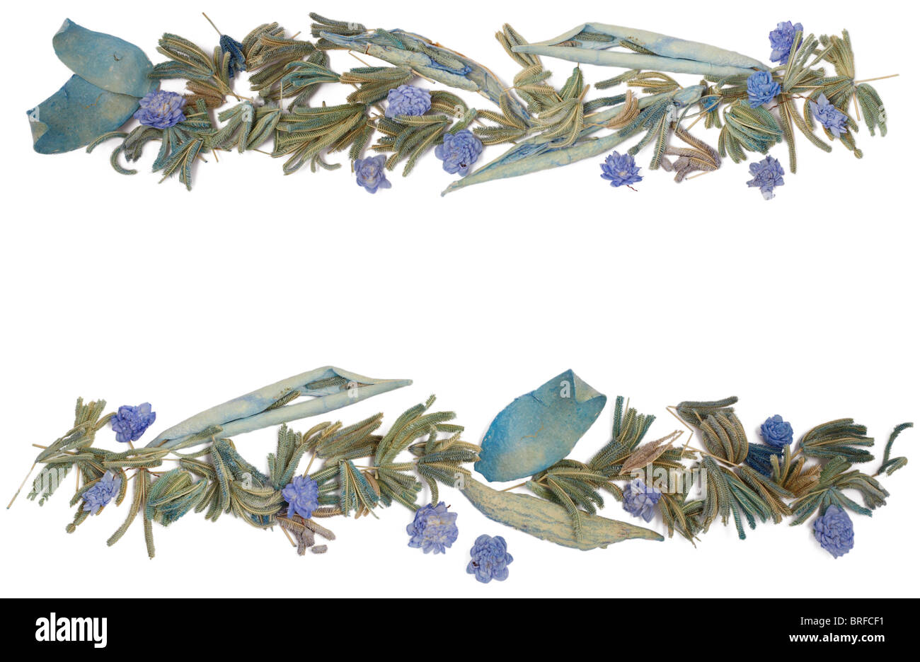 Multi colored flower border Cut Out Stock Images & Pictures - Alamy