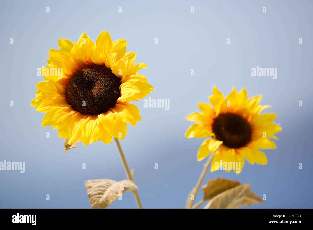 Two multi colored landscapes hi-res stock photography and images - Alamy