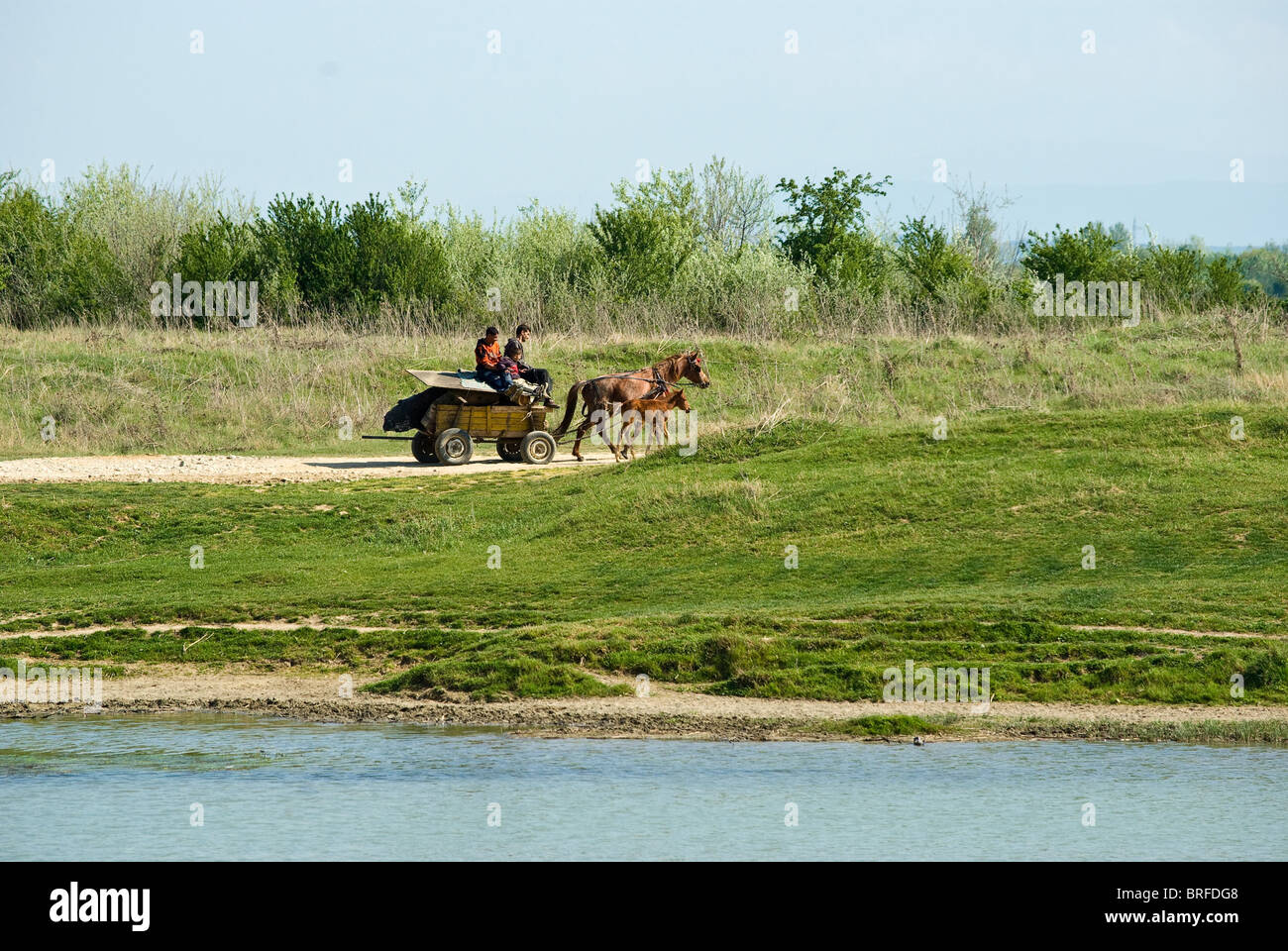 Pony van hi-res stock photography and images - Alamy