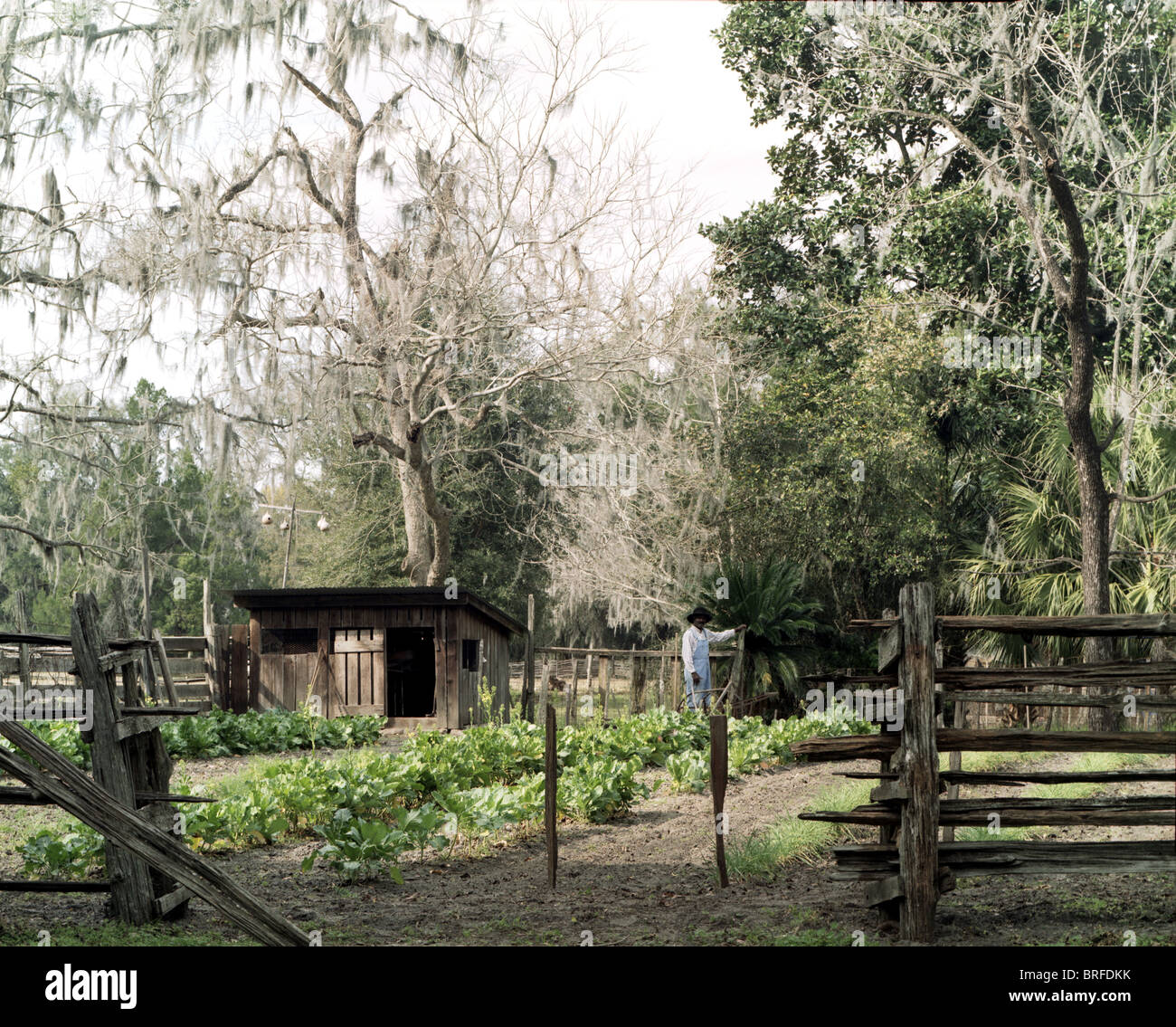 Dudley farm hi-res stock photography and images - Alamy