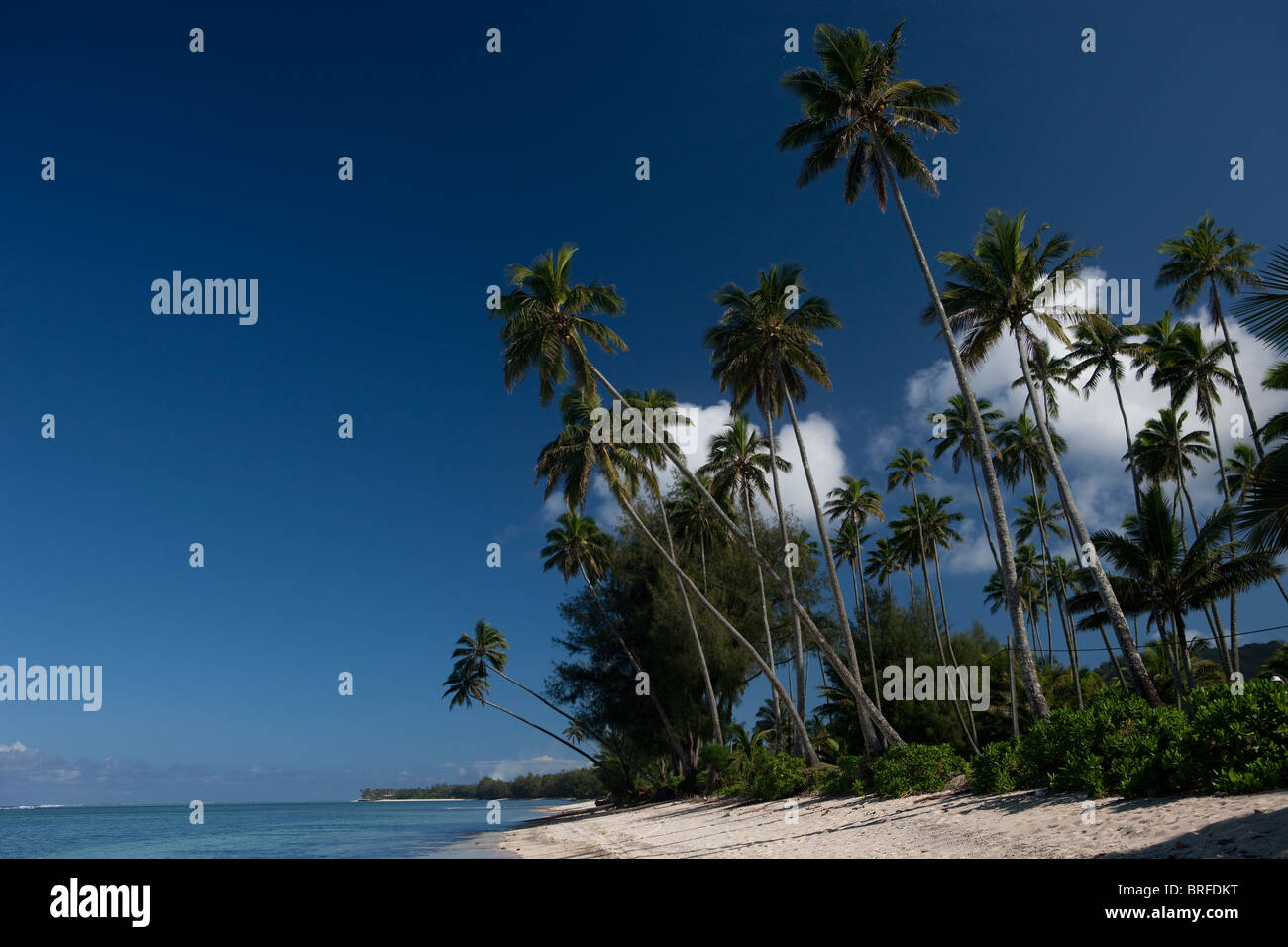Rarotonga, The Cook Islands Stock Photo - Alamy