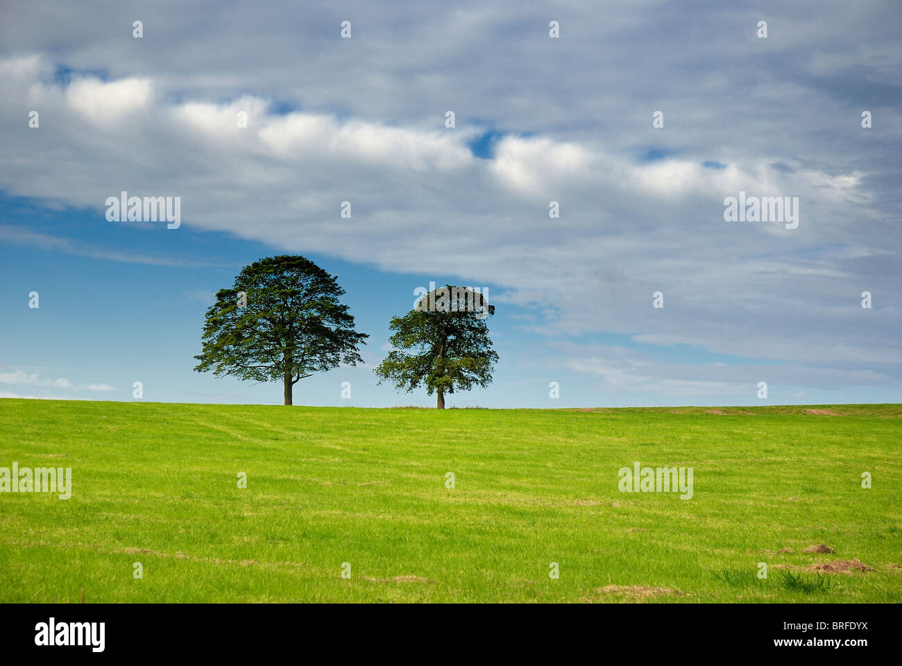 Shipley country park england uk Stock Photo - Alamy