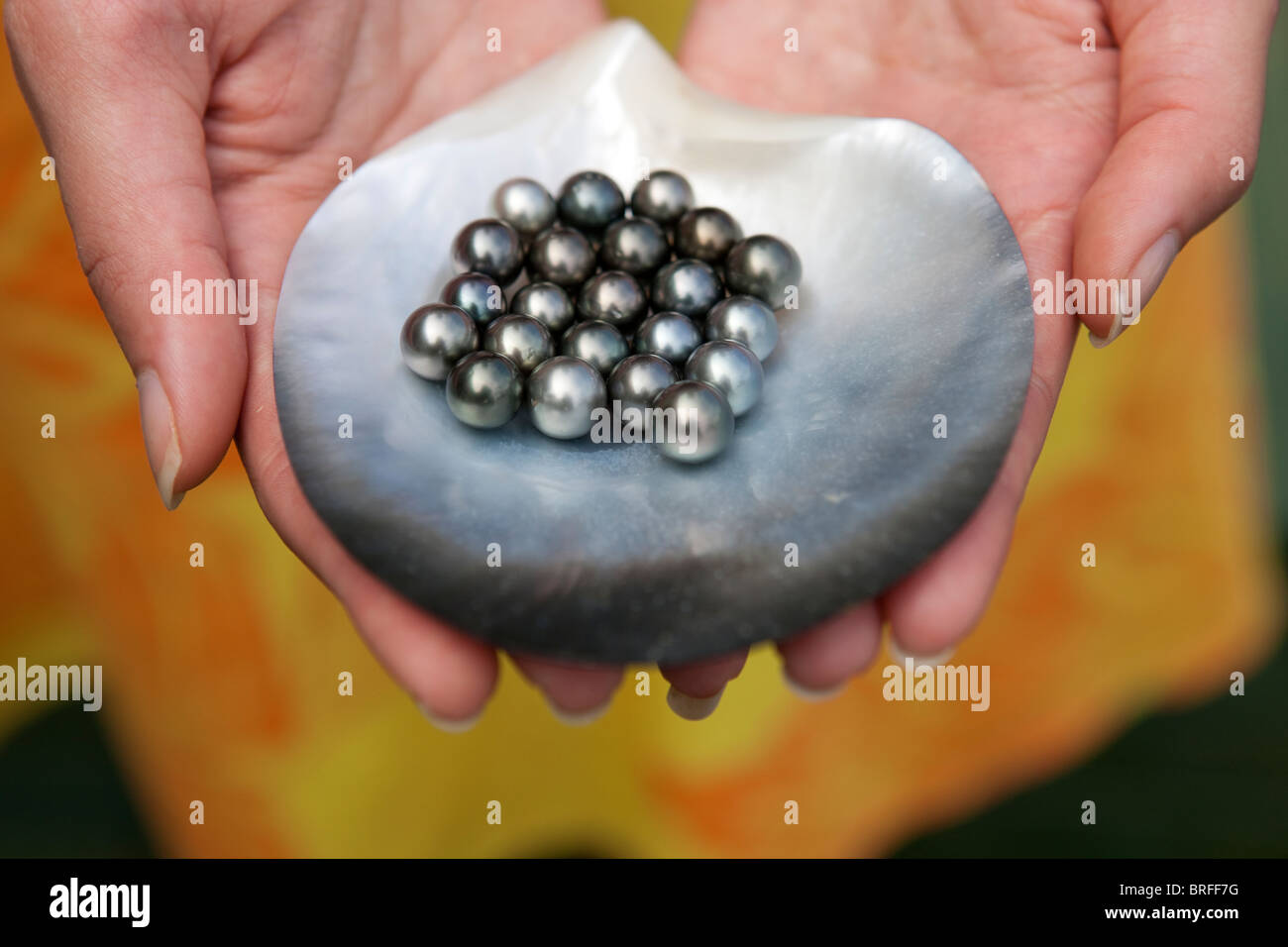 Grade A Black Pearls in the Cook Islands Stock Photo - Alamy