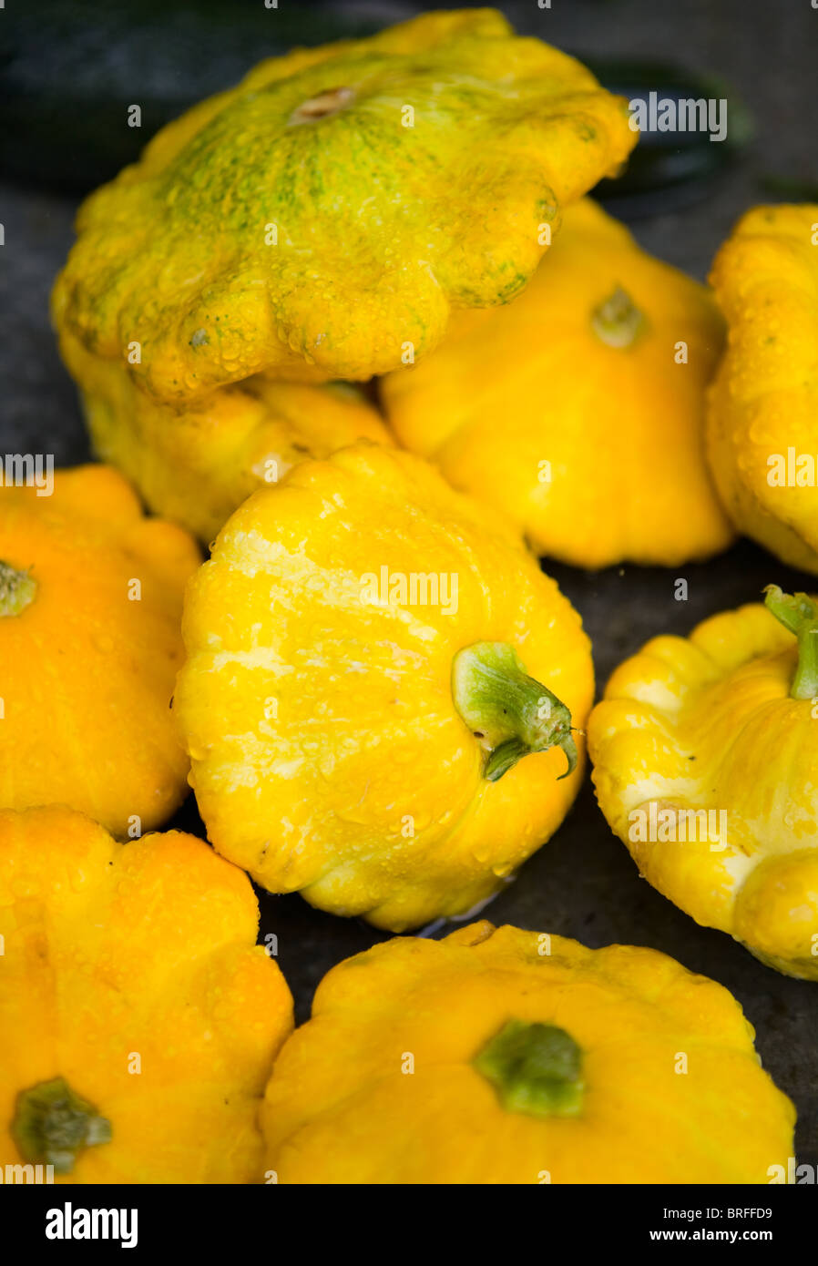 Yellow pattypan squash Stock Photo - Alamy