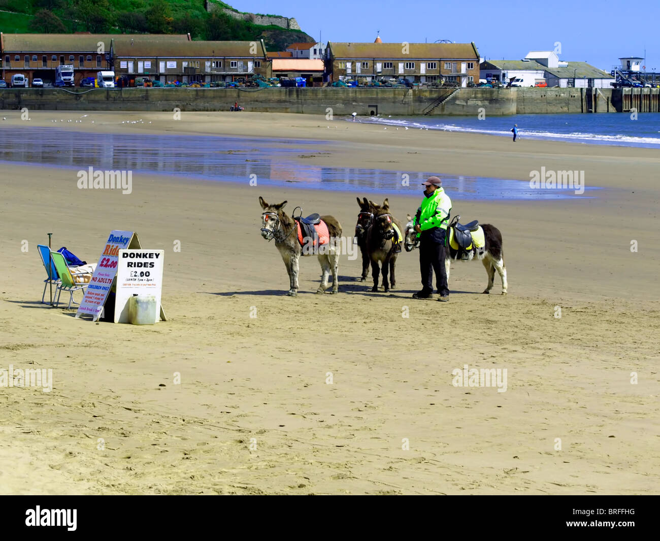 Donkey rides on the beach at Scarborough,North Yorkshire,UK Stock Photo ...
