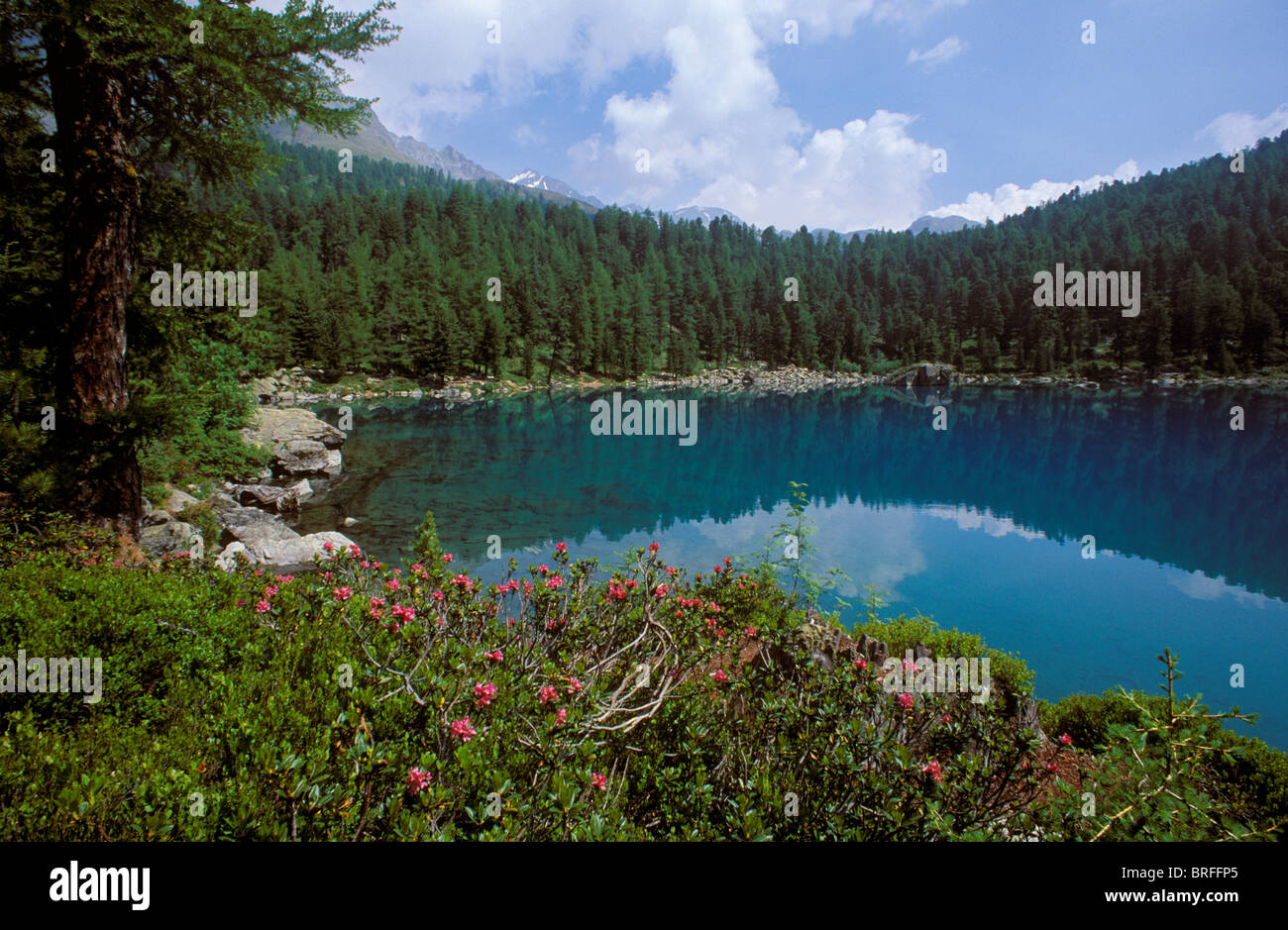 Lago di Saoseo Lake, Val di Campo, Val Poschiavo, Bernina, Graubuenden ...
