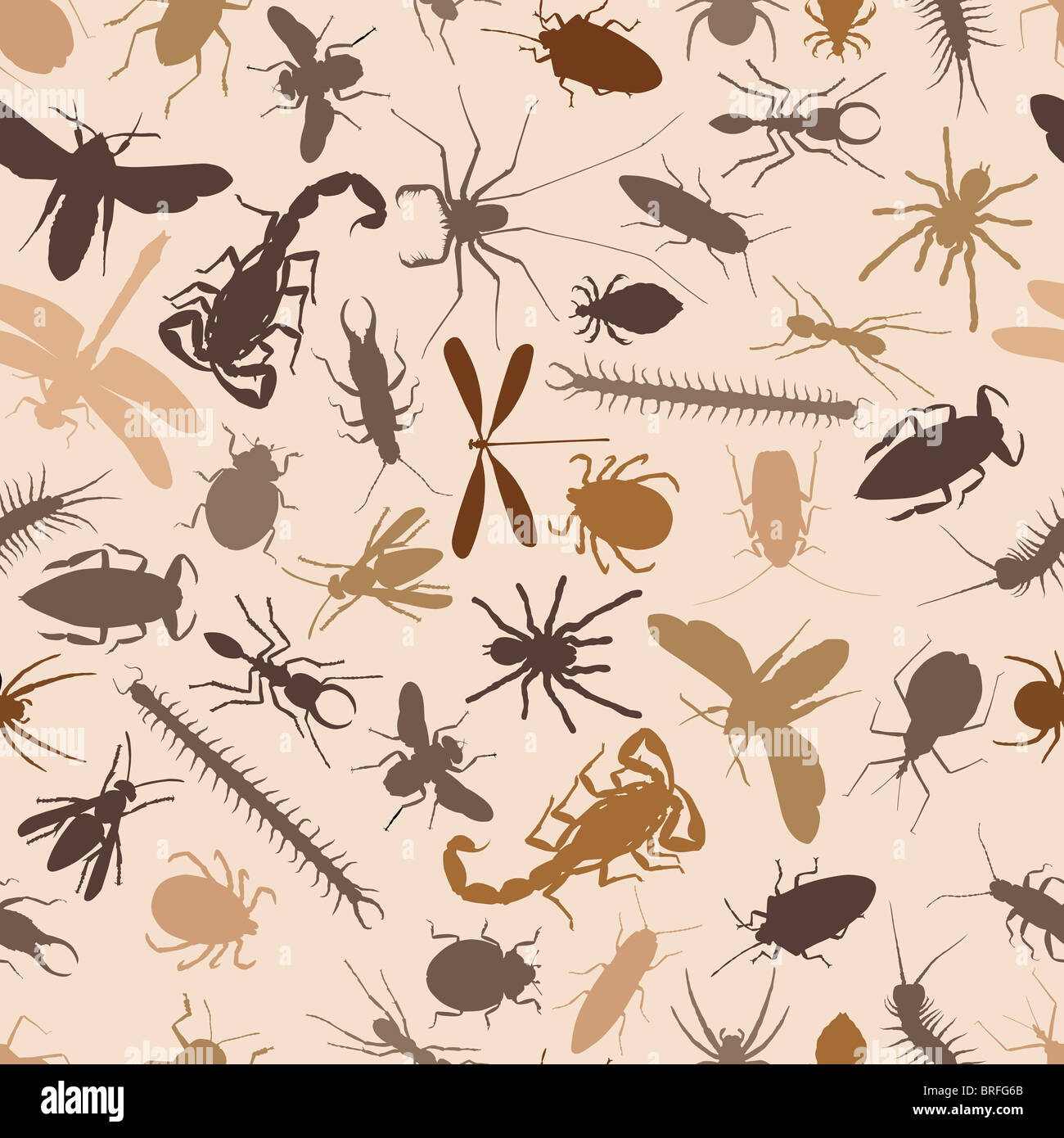 Illustrated seamless tile of various insects and other invertebrates ...