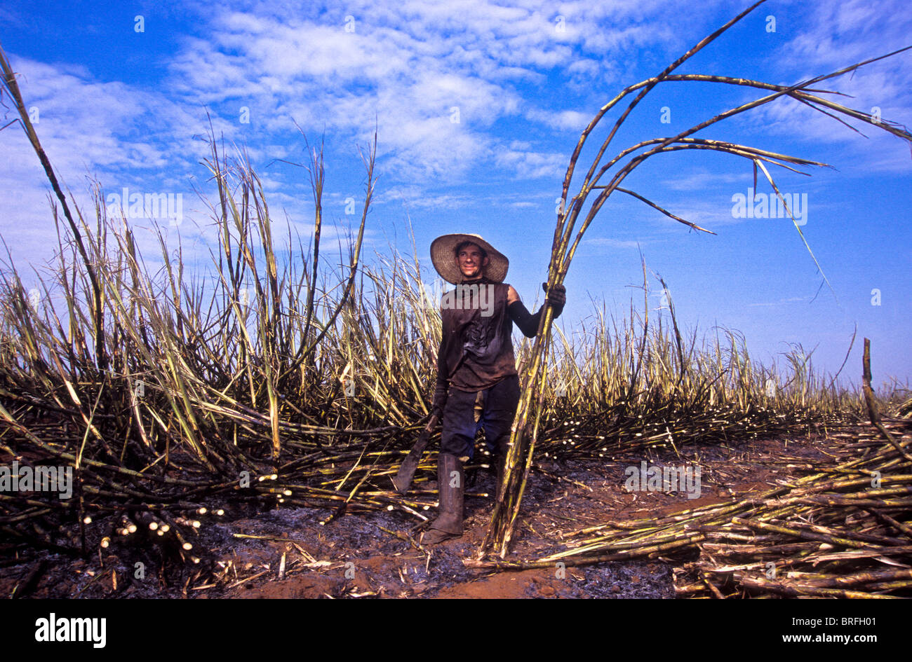 Portrait of a Sugar Cane worker on a large "fazenda" ranch in the state ...