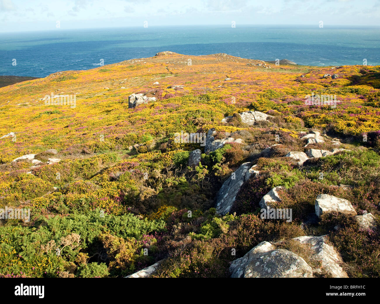 Carn llidi tor hi-res stock photography and images - Alamy