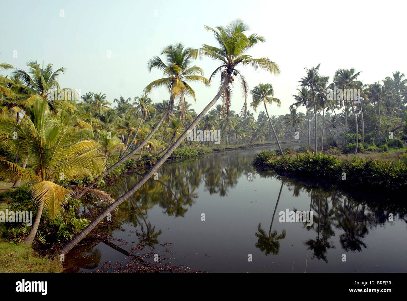 Kerala landscapes hi-res stock photography and images - Alamy