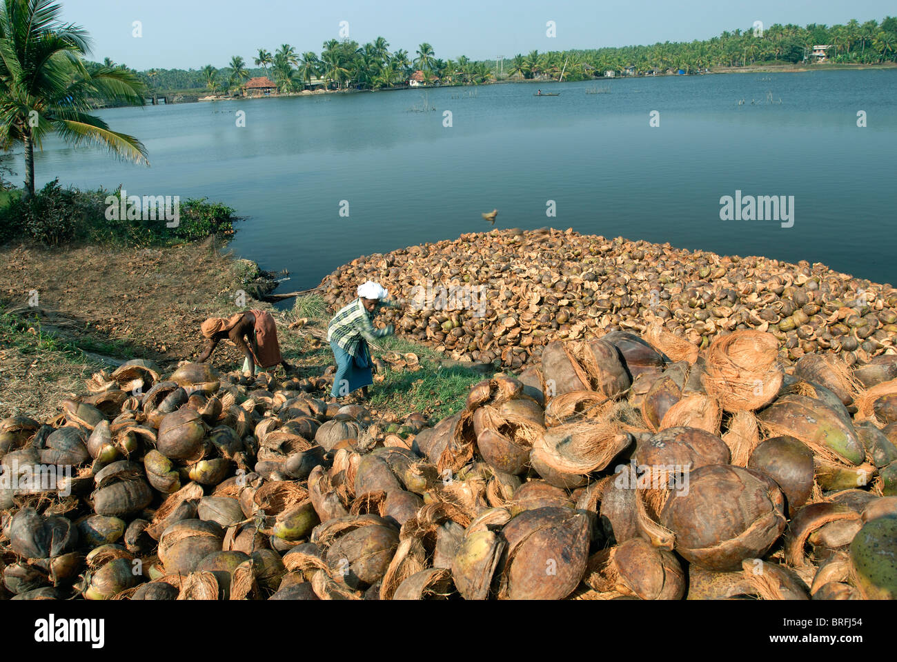 Backwaters of Kerala, India Stock Photo - Alamy