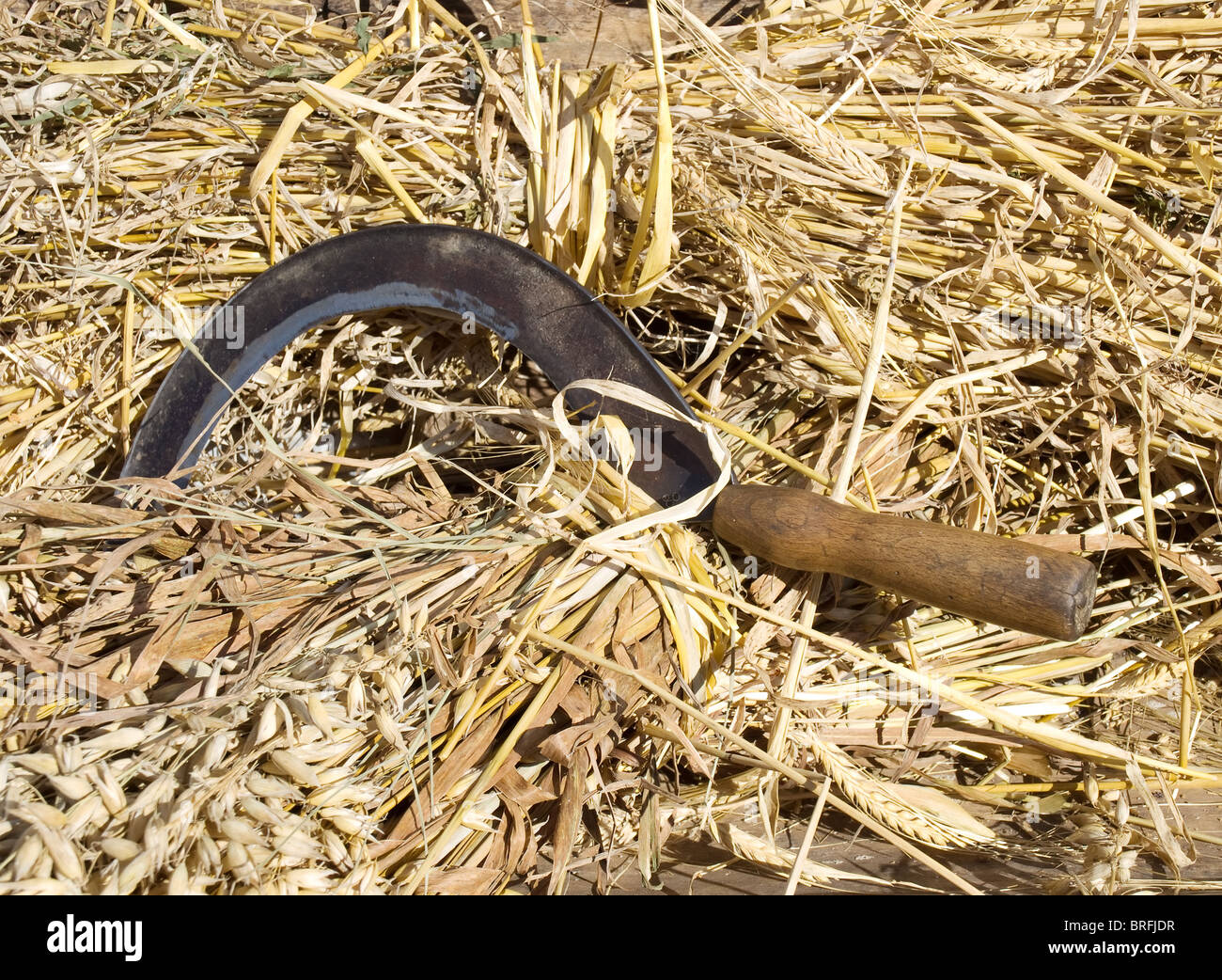 Grain sickle hi-res stock photography and images - Alamy