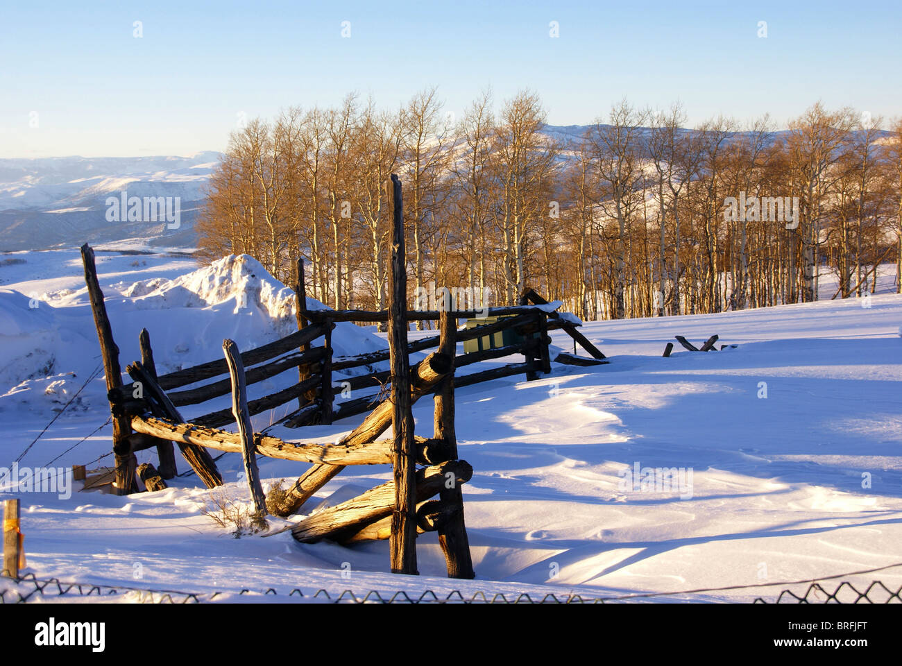 Old fence and aspens in snow at sunset, Cordillera, Colorado Stock ...