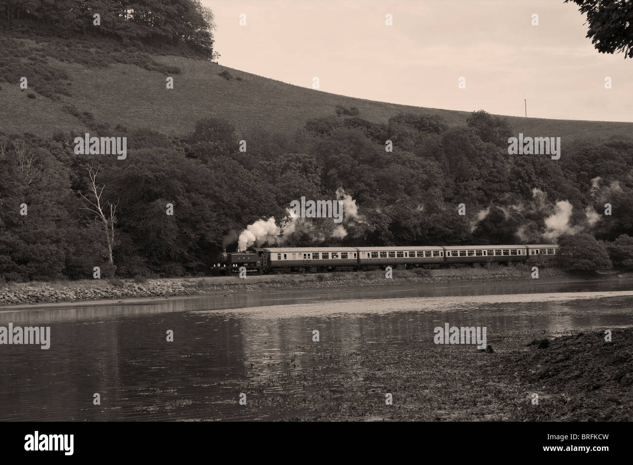 Looe Valley Line High Resolution Stock Photography and Images - Alamy