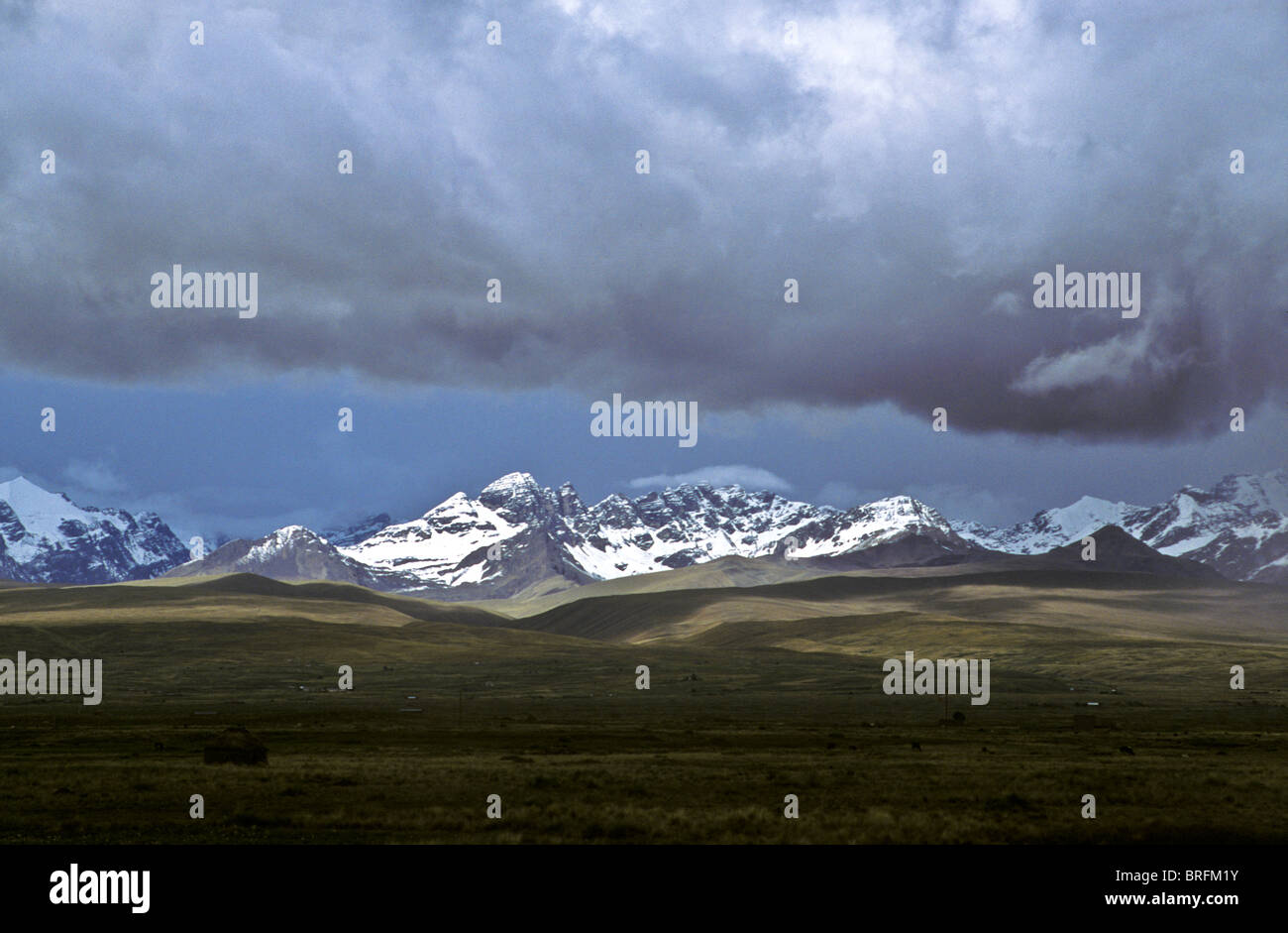 The Altiplano and Cordillera Oriental, Bolivia Stock Photo - Alamy