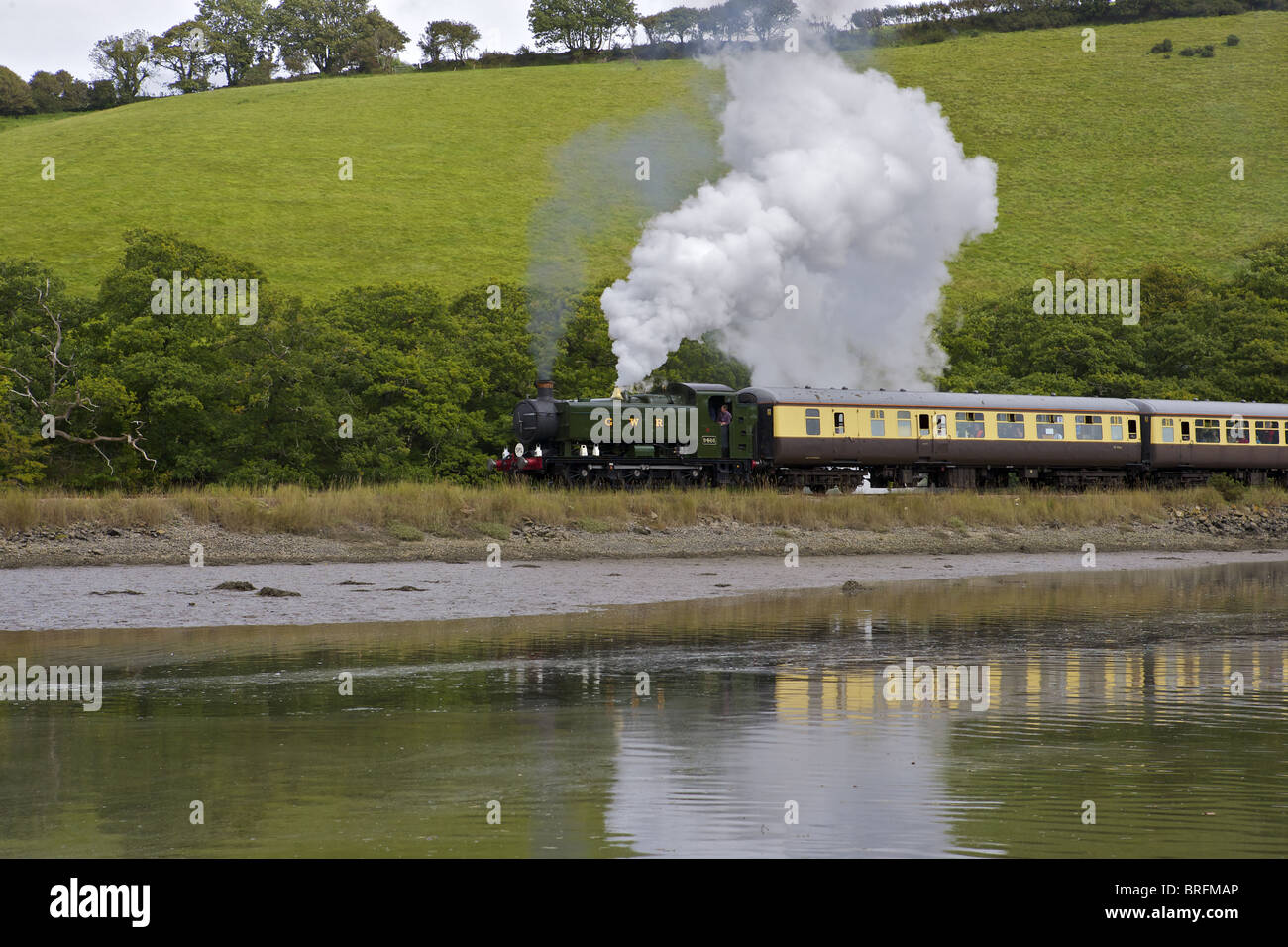 Looe valley line hi-res stock photography and images - Alamy