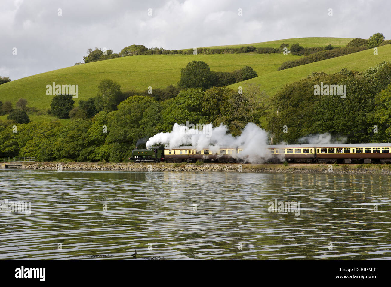 Looe valley line hi-res stock photography and images - Alamy