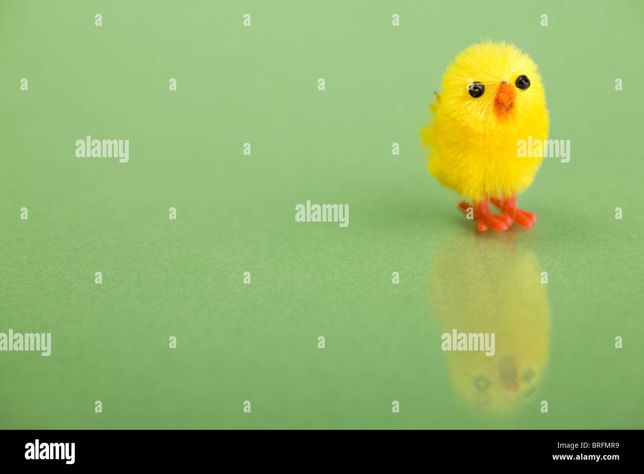 Cute chicken hi-res stock photography and images - Alamy