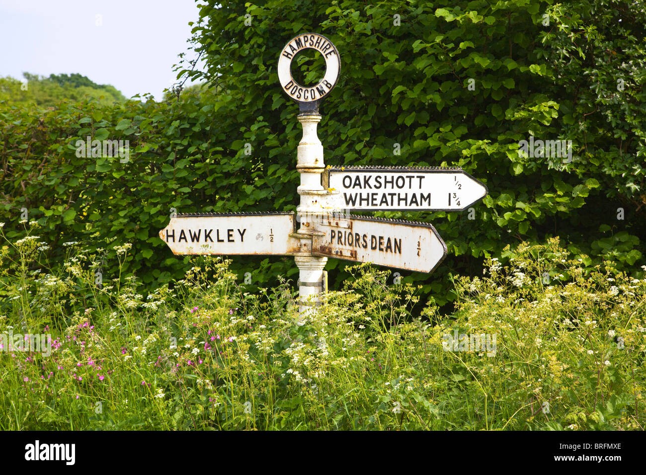 A signpost among wild flowers in the English countryside in summer ...