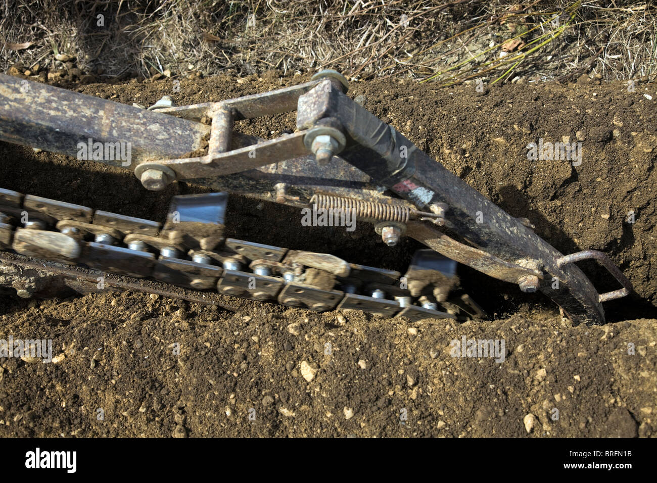 Trencher hi-res stock photography and images - Alamy