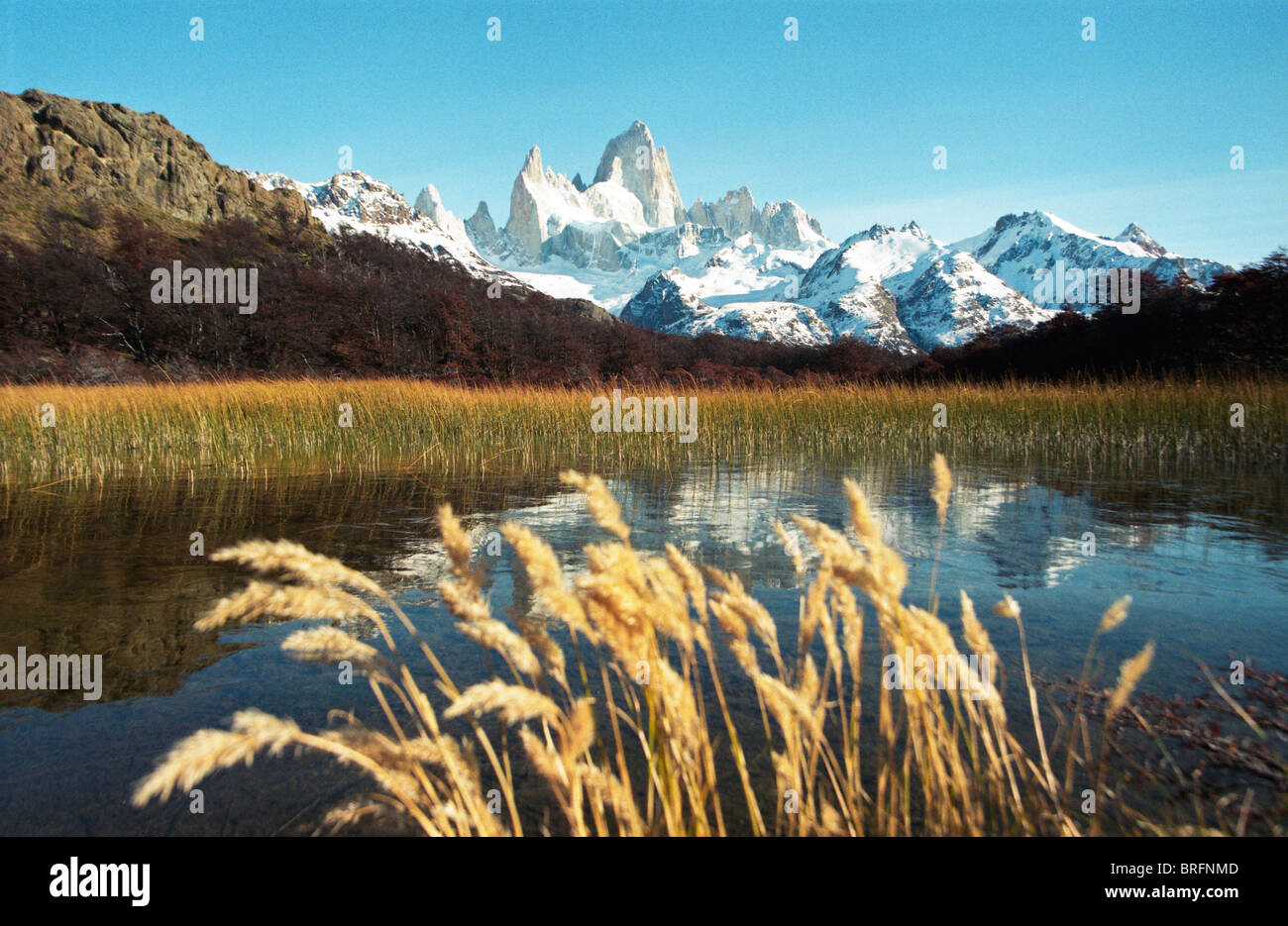 Fitz Roy mountain, Argentina Stock Photo - Alamy