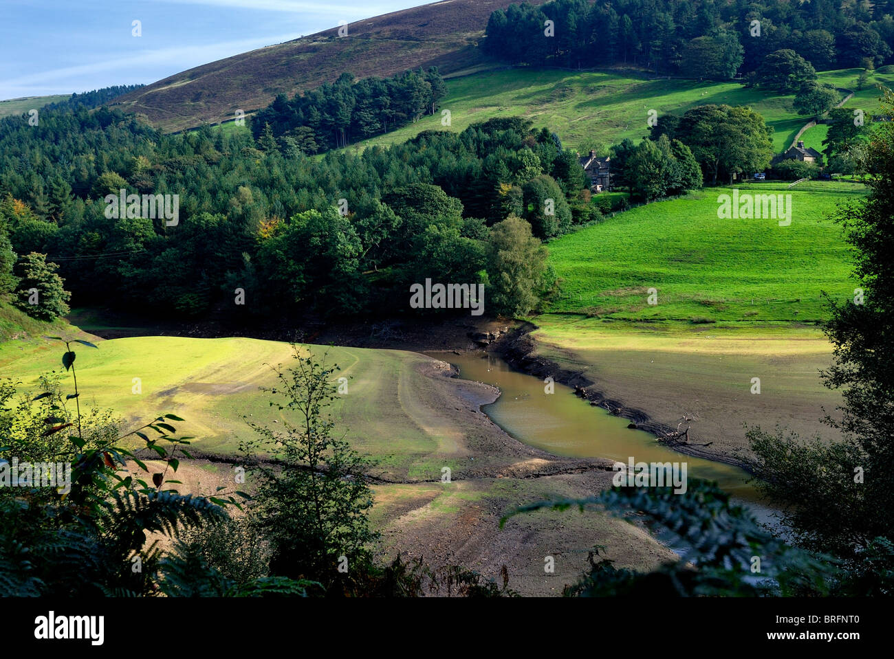 Uk river rocks vertical hi-res stock photography and images - Alamy
