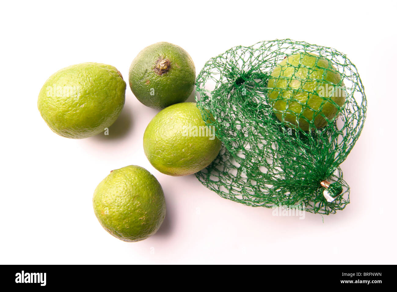 limette (Citrus latifolia Stock Photo - Alamy