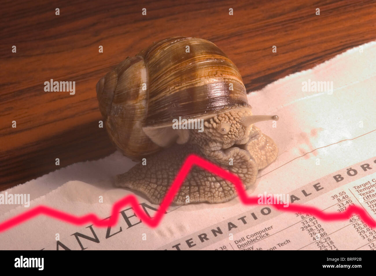 snailson a newspaper Stock Photo - Alamy