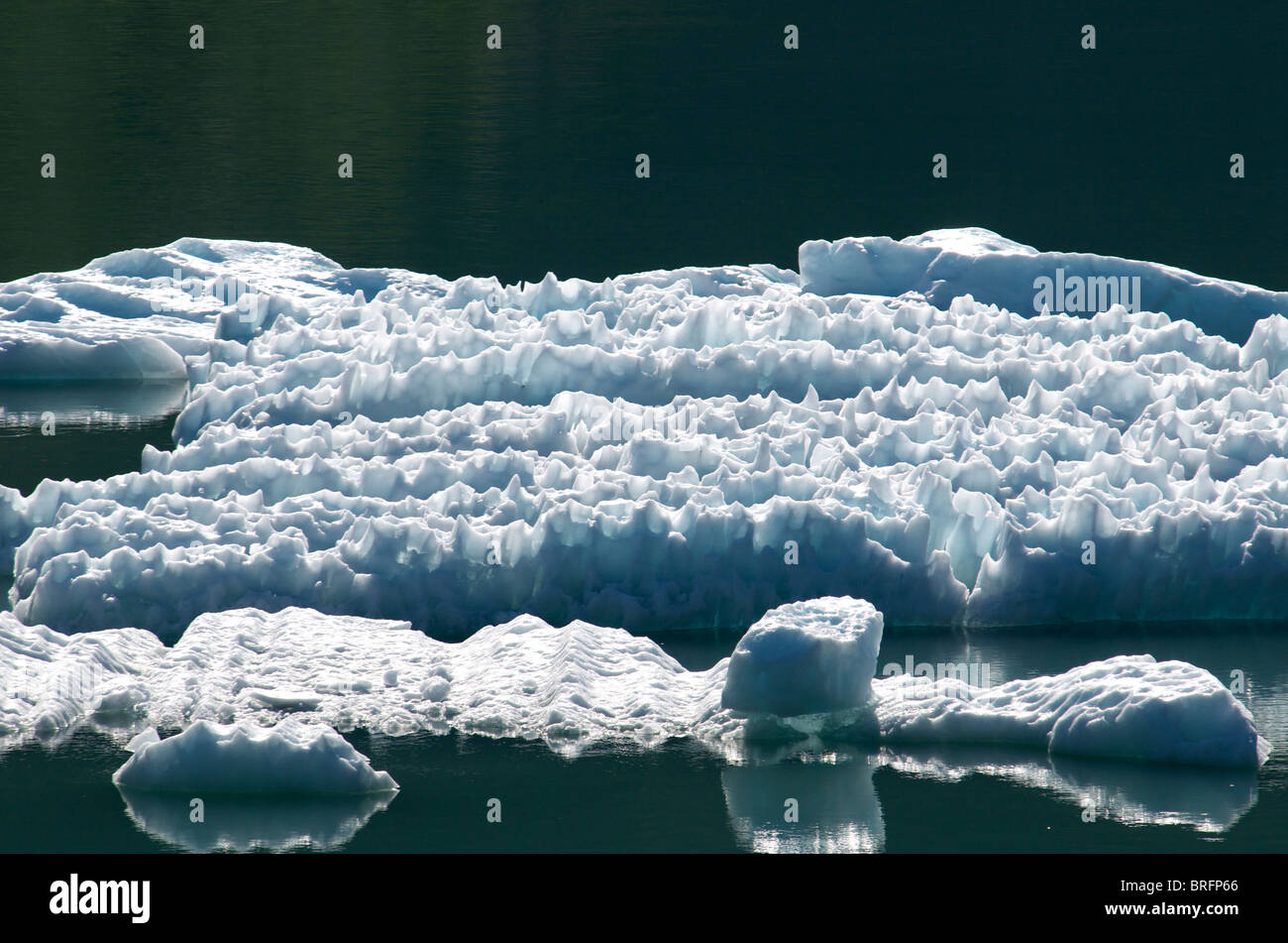 Floating ice Tracy Arm Fjord Inside Passage Alaska USA Stock Photo - Alamy